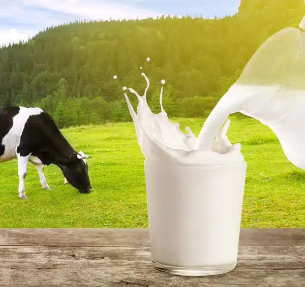 Milk Advertising | Milk Ads | Gourmet