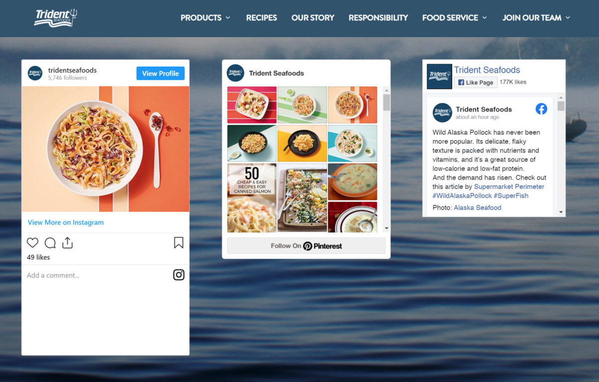 15 Things Every Food Product Website Must Have | Gourmet Ads