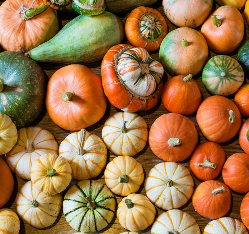 Autumn Advertising | Autumn Ads | Gourmet ads