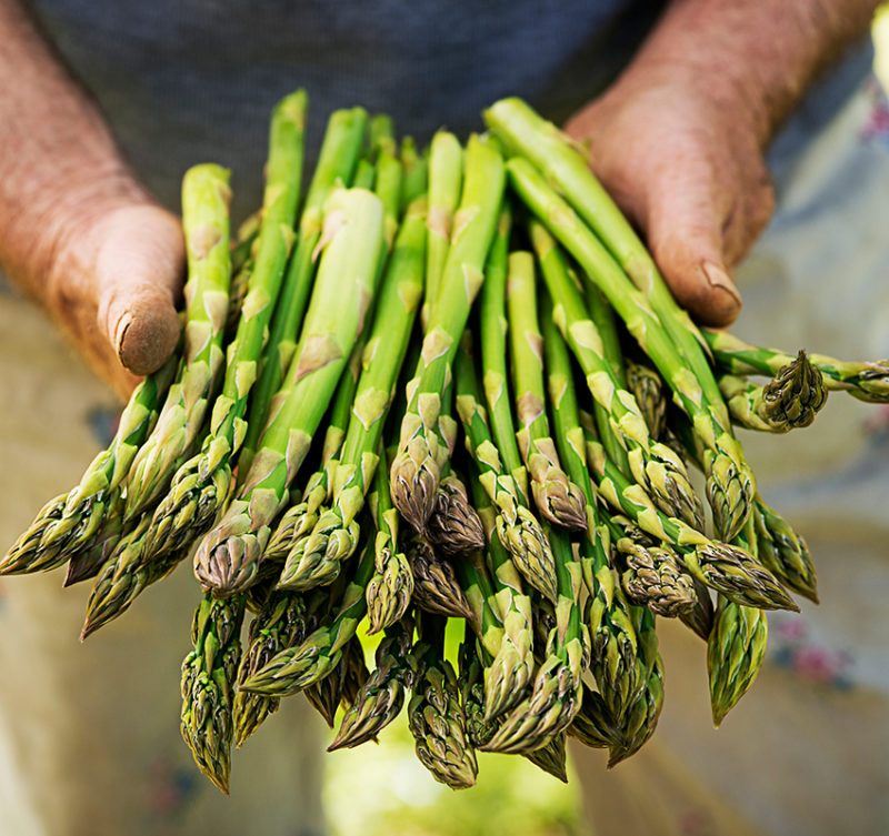 Spring Advertising | Spring Ads | Gourmet Ads